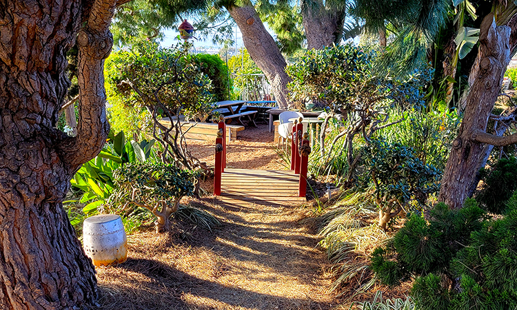 Ocean View Farms Community Garden