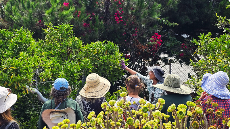 Ocean View Farms Community Garden